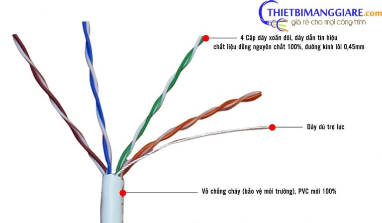 Cáp mạng UTP là gì | Đặc điểm cấu tạo và ứng dụng của cáp mạng UTP