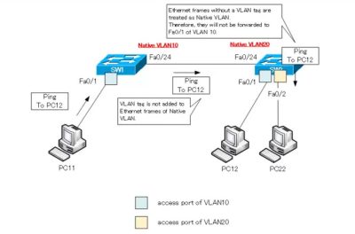 Tìm hiểu về Native VLAN, cách thay đổi và cấu hình | Thiết bị mạng giá rẻ