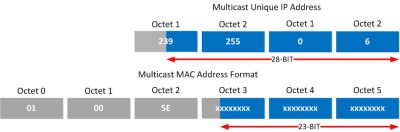 Multicast là gì? Địa chỉ Multicast hoạt động thế nào? | Thiết bị mạng ...